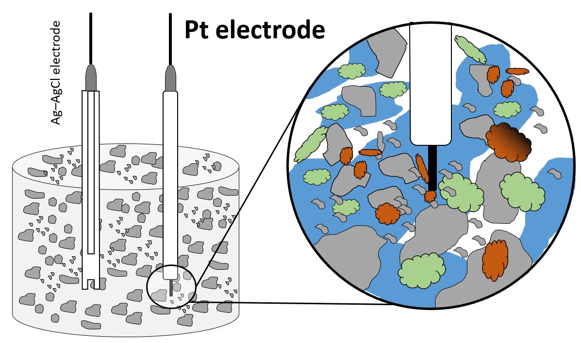 Redox electrode | Kristof Dorau